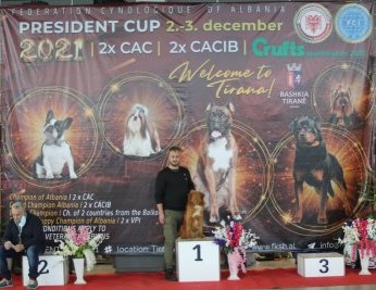 Les Retrievers Duckinson